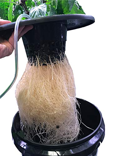 Viagrow 6 inch Wide Lip Bucket Basket Lid, (6 Pack), 5 and 3.5 Gallon DWC Bucket Net Pots