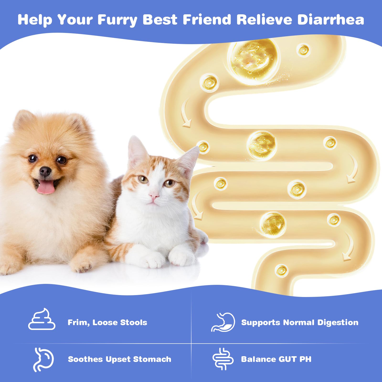 Oral Anti-Diarrhea Liquid for Dogs & Cats - with Pectin and Kaolin - Helps Reduce Diarrhea & Loose Stool, Balances Gut pH - 30 cc