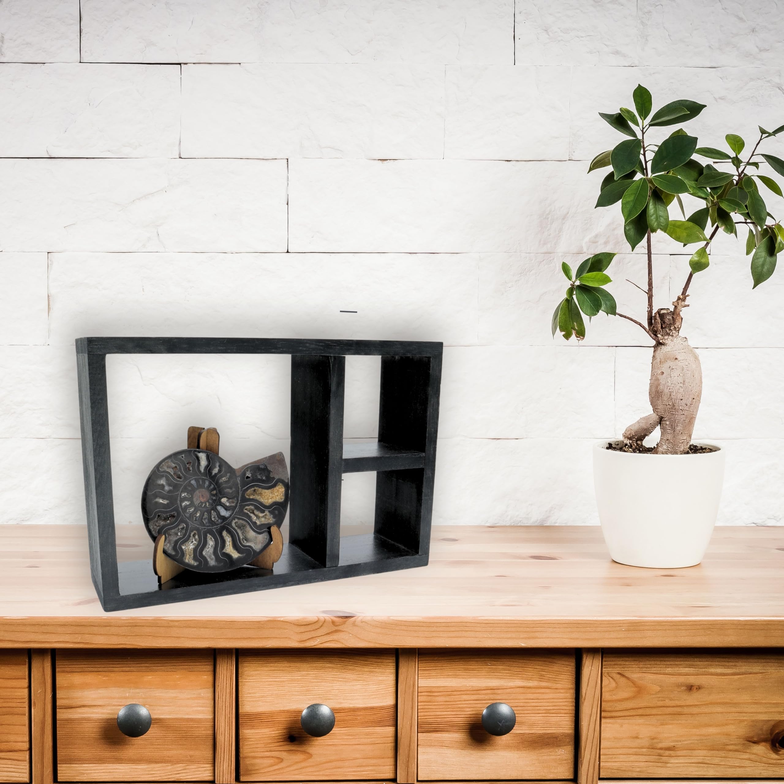 Petite Crystal Display Shelf with Black Ammonite, Rustic Wall-Mounted Floating Shelf for Crystal and Home Décor. Great Nightstand/Apothecary Shelf for Fossils, Reiki Crystals
