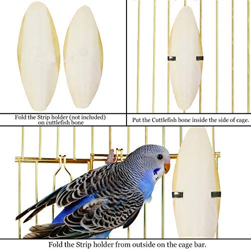 SunGrow 2 Pack Cuttlefish Bones, 6 inch, Made with Real Cuttle Fish, Calcium Source for Parakeets, Turtles, Dog, Chicken, Pleco, Snails, and Shrimps
