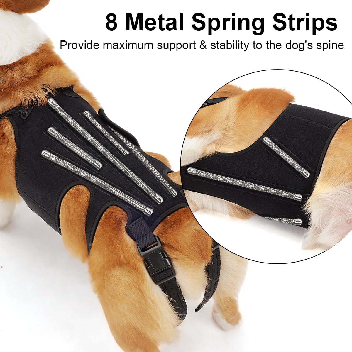 In hand Back Brace for Dogs, Canine Dogs Back Brace Helps Small Dogs with IVDD, Arthritis, Surgery Recovery, Spinal Disc Pain Relief, Back Protector Support for Back Disease Prevention