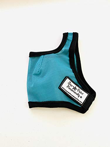 Star Point Mini-Pony Fly Mask (Large 39-45" Pony, Teal/Black Trim)