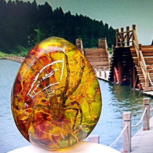 VORCOOL Amber Fossil with Insects Samples Stones Crystal Specimens Home Decorations Collection Oval Pendant for Kids (Random Pattern,8 x 6 x 1.8cm,1pc)