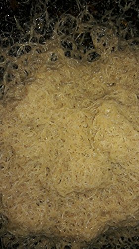 White worm Starter culture Organic fish/frog/newt food