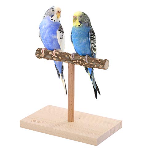 QBLEEV Bird Tabletop Training Stand Perch,Portable Parrot Tee Play Stands, Natural Wood Bird Cage Toys Gym Playground for Small Medium Parakeets Cocktails Conures Lovebirds Finch (Large)