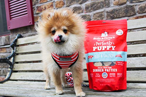 Stella & Chewy’s Freeze Dried Raw Dinner Patties – Crafted for Puppies – Grain Free, Protein Rich Perfectly Puppy Chicken & Salmon Recipe – 14 oz Bag