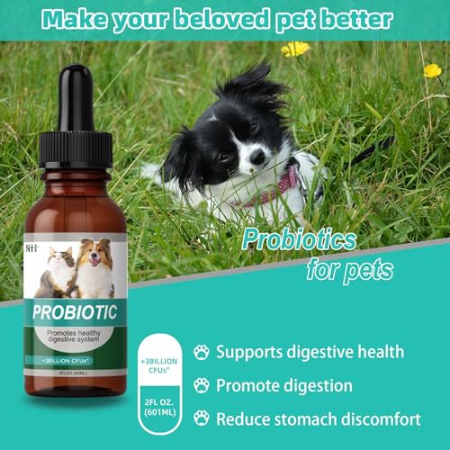 SMASUPT Probiotic Chews for Dogs, 120 Soft Chews, 10.58 oz, Gut Health, Digestive Health, Immune System + Probiotic Drops