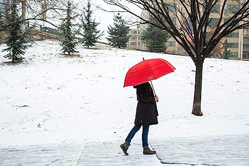 Weatherman Umbrella - Stick Umbrella - Windproof Umbrella Resists Up to 55 MPH Winds - (Sage)