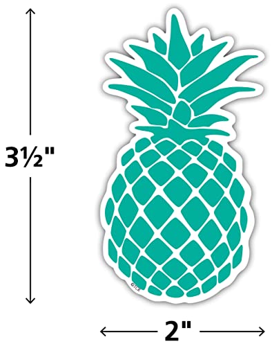 Teacher Created Resources Tropical Punch Pineapples Magnetic Accents