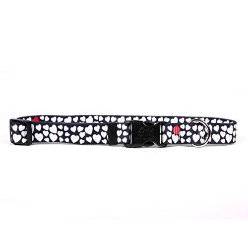 Yellow Dog Design White Hearts Dog Collar with Tag-A-Long ID Tag System-Large-1" Wide and fits Neck 18 to 28"