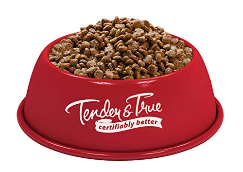 Tender & True Antibiotic-Free Turkey & Brown Rice Recipe Cat Food, 3 Pound(Pack of 1)