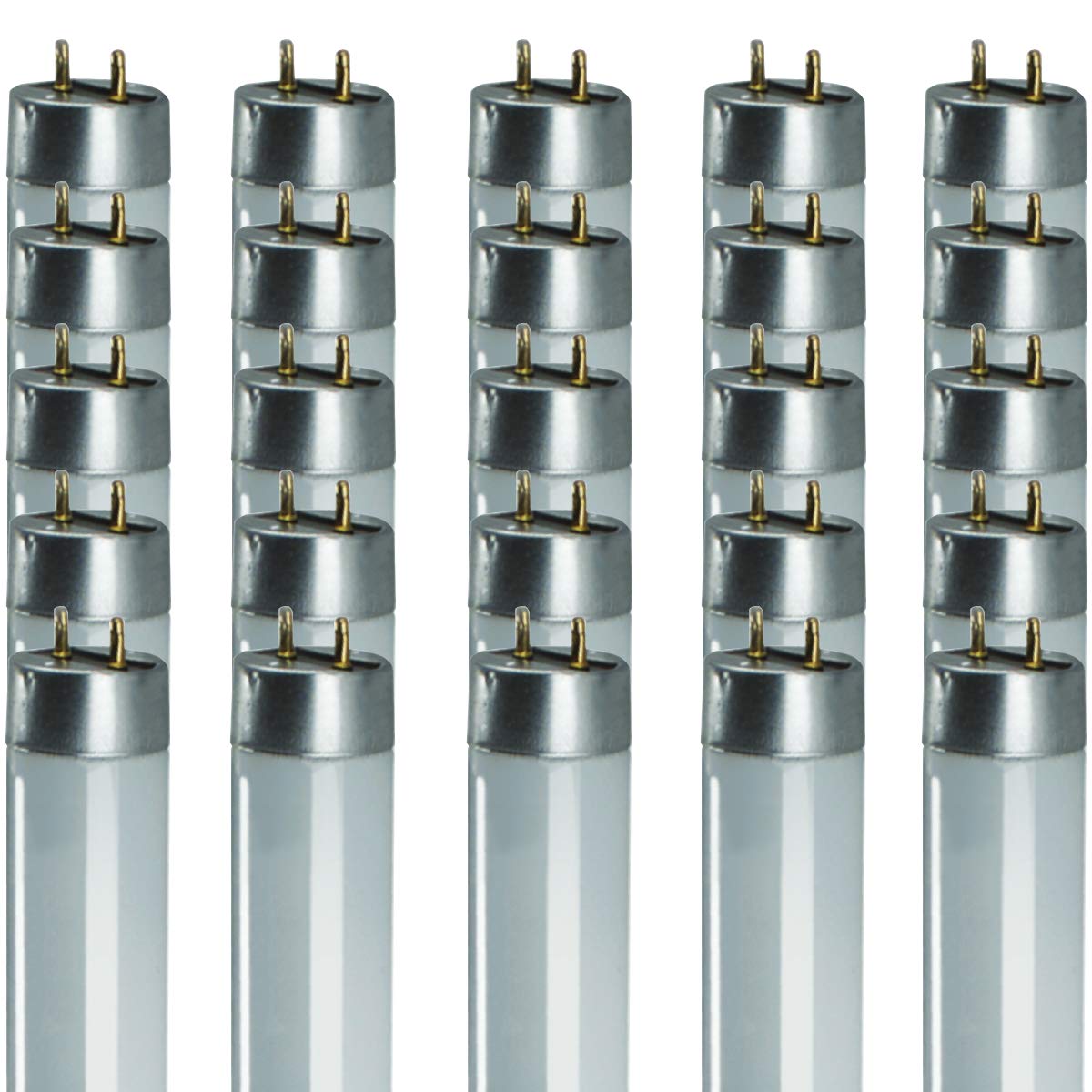 GoodBulb 48-Inch T8 Fluorescent Light Bulbs 32-Watt, 5000K Daylight White Color, 2900-Lumens, G13 Medium Bi-Pin Base (Pack of 25 Bulbs)