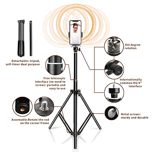 Ring Light 10" with 67" Extended Tripod Stand & Phone Holder for YouTube Video, Camera Led Ring Light for Streaming, Makeup, Selfie Photography Compatible with iPhone Android