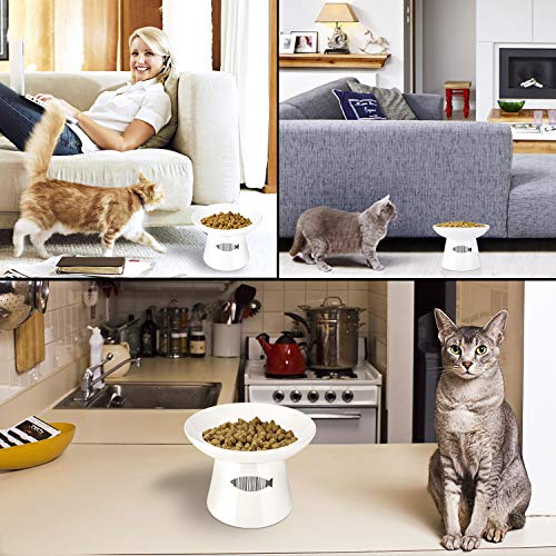 Yangbaga Cat Raised Food/Water Bowl for Elder Big Cats, Non-Skid 4.8x6.4in Premium Ceramic Cat Bowls with Stand, Sturdy and Anti-Fall… (White)
