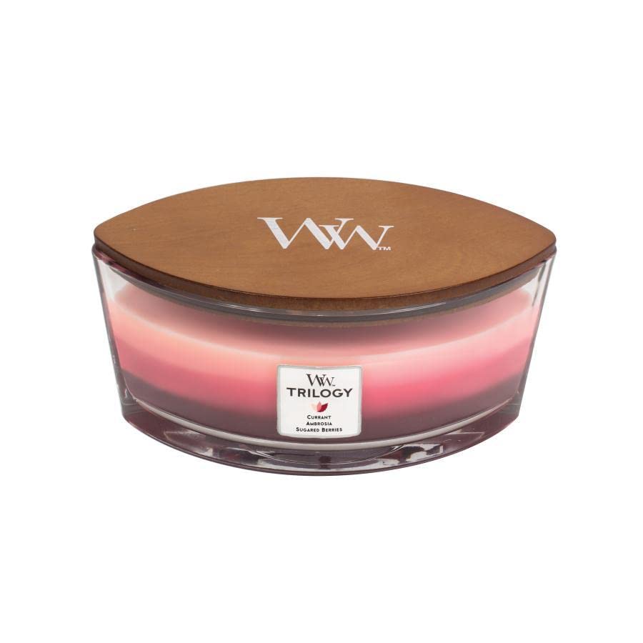 WoodWick Fruit Temptation Trilogy Scented, 16oz, Ellipse Candle, Multi