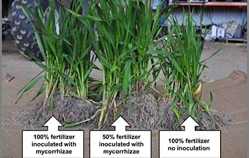 Wildroot Organic Mycorrhizae 16 Species Mycorrhizal Inoculant Drought Proof’s Plants &Trees, Saves Water & Precious Fertilizer, Root Stimulator Explodes Root Growth (5oz - 1055 Plants)