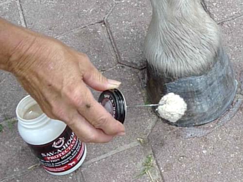 SAV-A-HOOF PROTECTANT by SBS Equine , Dual-Action Hoof Conditioner, Antiseptic Barrier Against Infection, Repels Moisture & Contaminates, 7.5 fl. oz.
