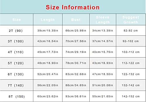 Noubeau Toddler Baby Boys Girls Unisex Casual Hoodies Kids Solid Pullover Hooded Classic Plain Pocket Sweatshirt (Black, 2 Years)