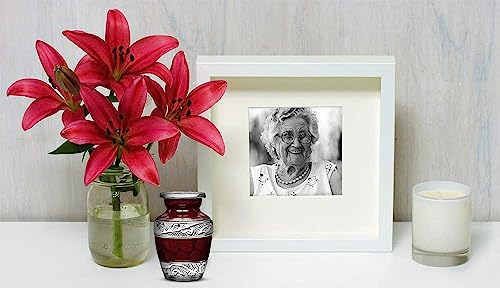 Trupoint Memorials Cremation Urns for Human Ashes - Decorative Urns, Urns for Human Ashes Female & Male, Urns for Ashes Adult Female, Funeral Urns - Red, 1 Small Keepsake