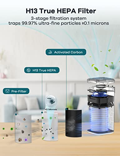 Welov P200S Air Purifiers for Home Large Room with An Extra H13 True HEPA Filter Bundle