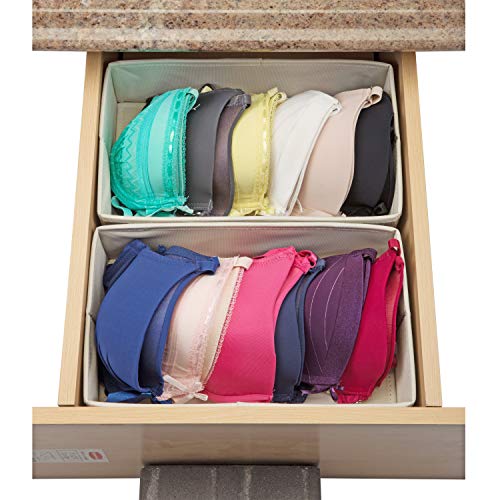 Simplify Drawer Organizer, Good for Socks, Bras, Ties, Camiās, Baby Clothes & Accessories, Rectangle - 2 Pack, Beige