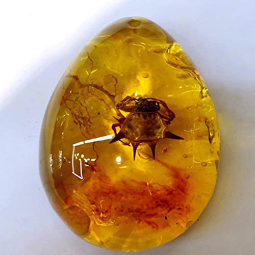 VORCOOL Amber Fossil with Insects Samples Stones Crystal Specimens Home Decorations Collection Oval Pendant for Kids (Random Pattern,8 x 6 x 1.8cm,1pc)