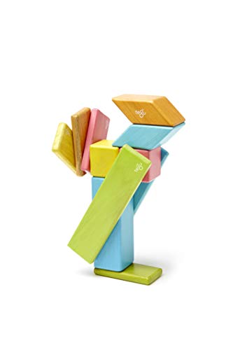 Tegu 14 Piece Magnetic Wooden Block Set in Tints