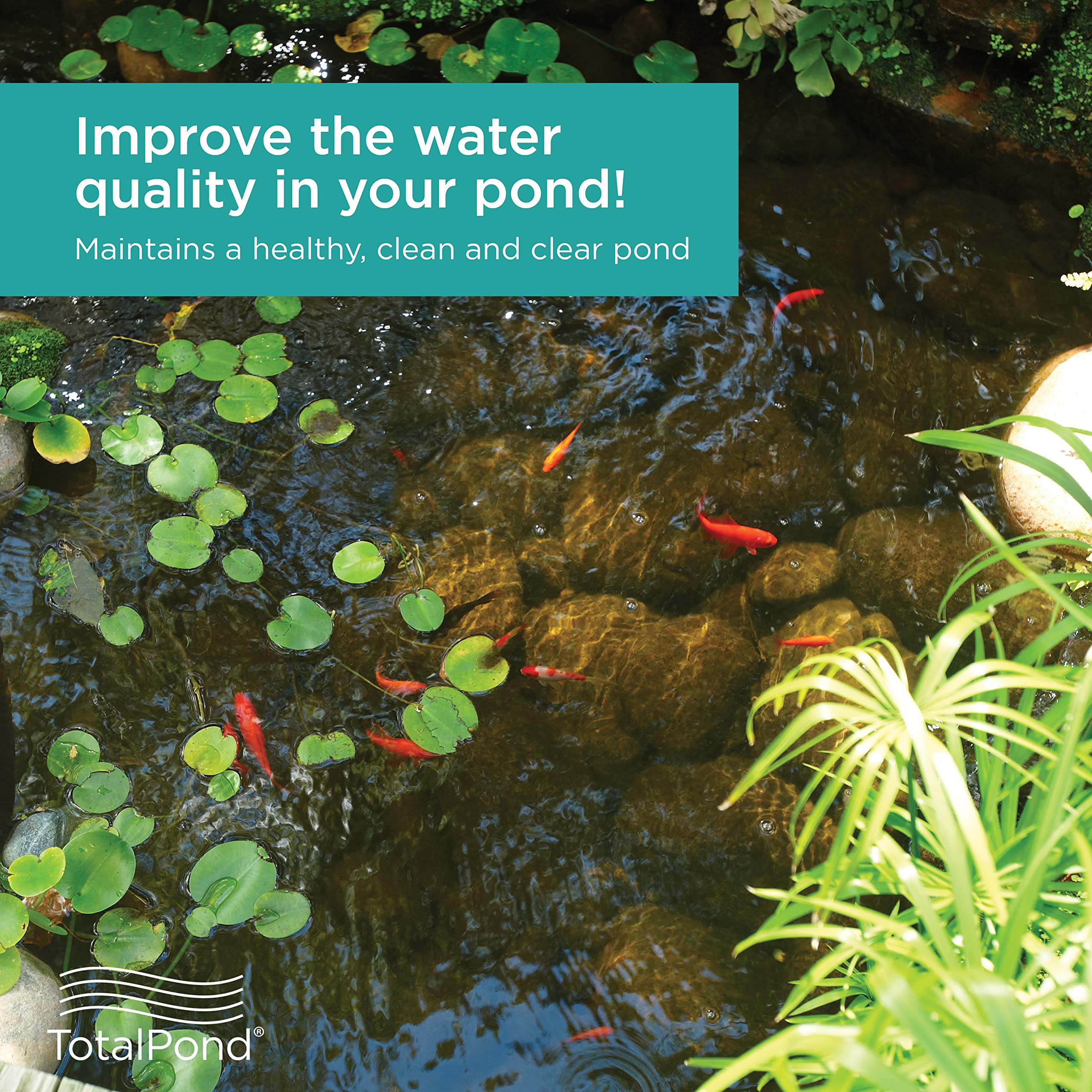 TotalPond 871980305191 Universal Pump Filter Box, Height : 5.84 Width : 12.36 Depth : 6.22, Natural