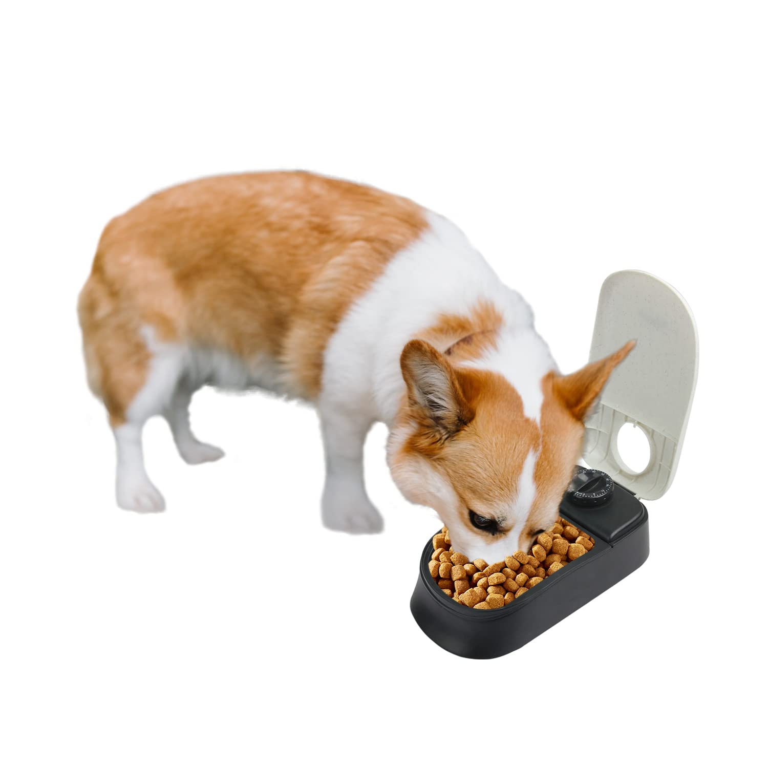 PAWISE Automatic Cat Feeders 1 Meal Automatic Dog Feeder,Dog/Cat Food Dispenser 1.5 Cup, Schedule Meal or Treat, with 48-Hour Timer