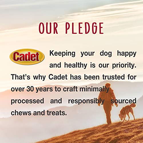 Cadet Premium Grade Beef Hide for Dogs, Long Lasting Rawhide Retriever Rolls, Single Ingredient Dog Chews, Peanut Butter Flavor, 10 Inch (4 Count)