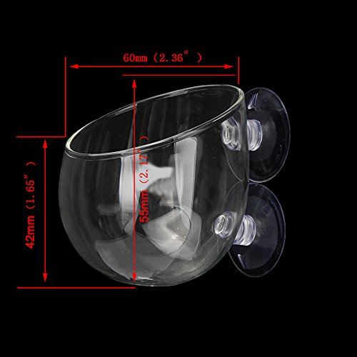 Senzeal 2X Crystal Glass Aquatic Plant Cup Pot with 4X Suction Cups for Fish Tank Aquarium Aquascape
