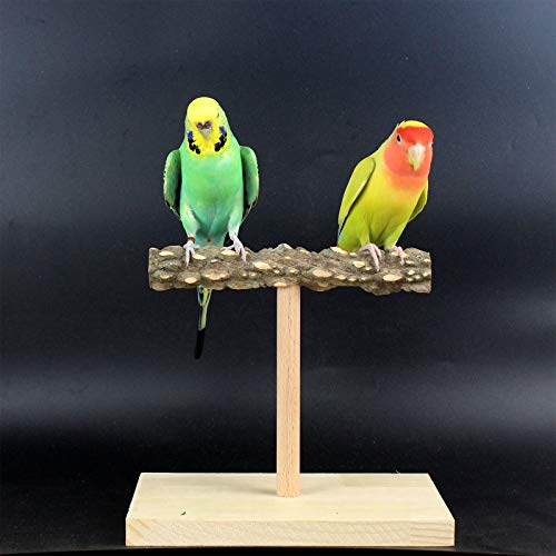QBLEEV Bird Tabletop Training Stand Perch,Portable Parrot Tee Play Stands, Natural Wood Bird Cage Toys Gym Playground for Small Medium Parakeets Cocktails Conures Lovebirds Finch (Large)