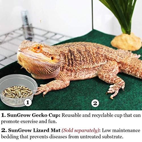 SunGrow Gecko Food and Water Containers, Reusable, Recyclable, Disposable Cups, 0.5 oz Capacity Plastic Transparent Dishes, Fits Various Reptile Feeder, 1.6โ Diameter, 0.6โ Depth, 100 Pcs