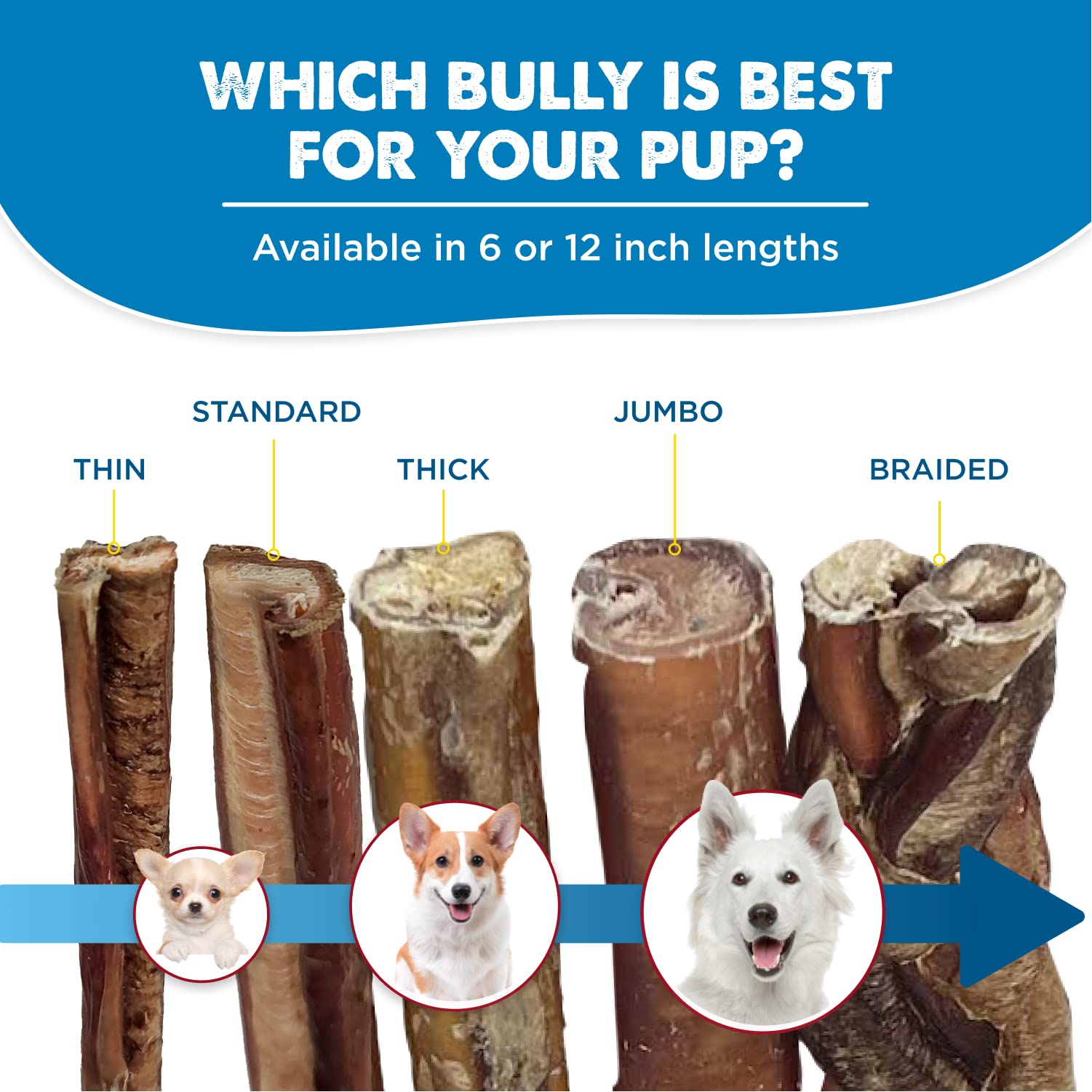 Best Bully Sticks 6 Inch All-Natural USA-Baked Bully Sticks for Dogs - 6β Easily digestible, 100% Grass-Fed Beef, Grain and Rawhide Free | 18 Pack
