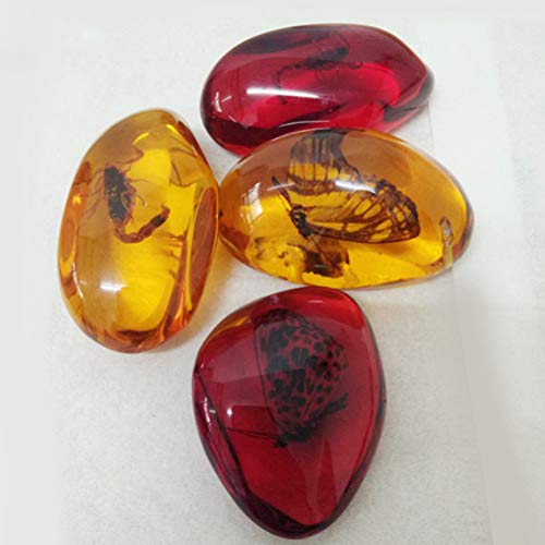 VORCOOL 5pcs Amber Fossil with Insects Samples Stones Crystal Specimens Home Decorations Collection Oval Pendant (Random Pattern)
