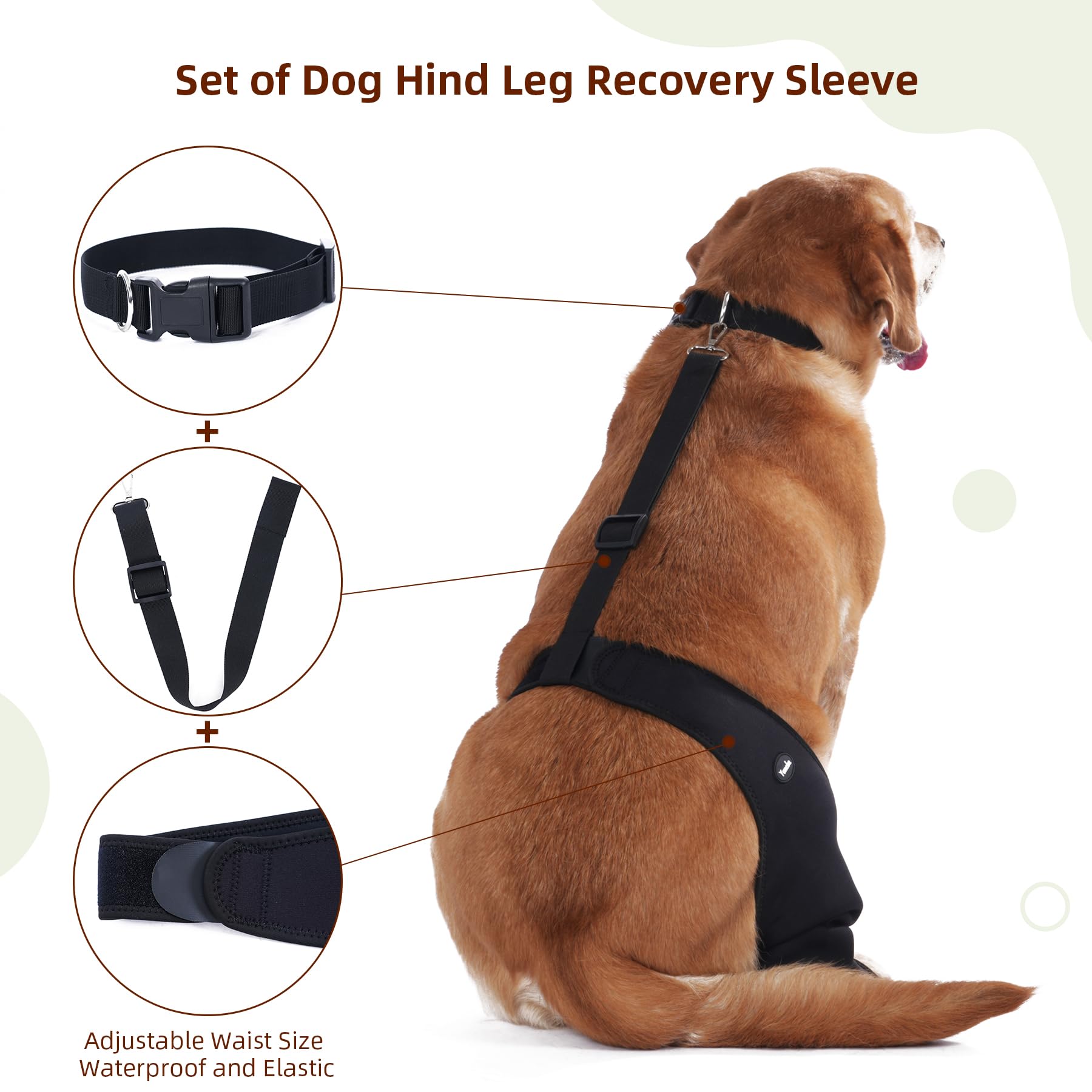Dog Recovery Sleeve Back Leg Waterproof Diving Material,Dog Leg Sleeve to Stop Licking and Biting Firm and Secure, Adjustable Size, 2.5mm Thick Comfortable Alternative to Cone Collars (2XLarge)