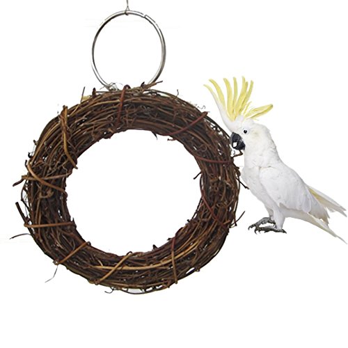 Natural Rattan Hoop Chew Toy for Parakeet Budgie Cockatiel Conure Macaw Lovebird Hanging Cage (L)