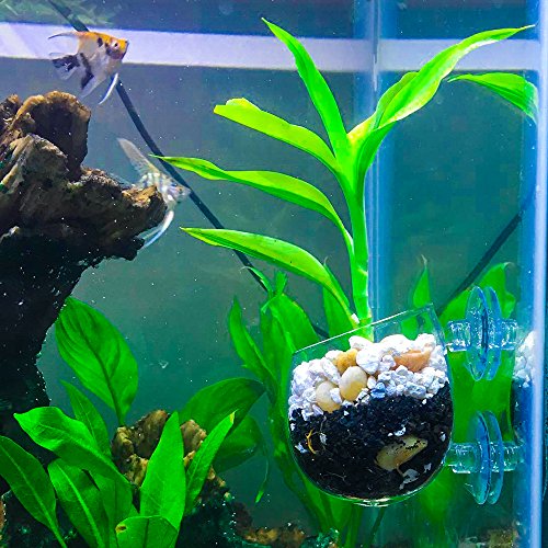 Senzeal 2X Crystal Glass Aquatic Plant Cup Pot with 4X Suction Cups for Fish Tank Aquarium Aquascape