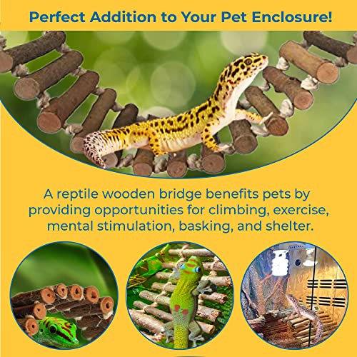SunGrow Gecko Wooden Ladder Bridge, 14β Customizable, Versatile Enrichment Exercise Gym, Increase Living Vertical Space for Geckos, Hermit Crabs, and Pocket Pets