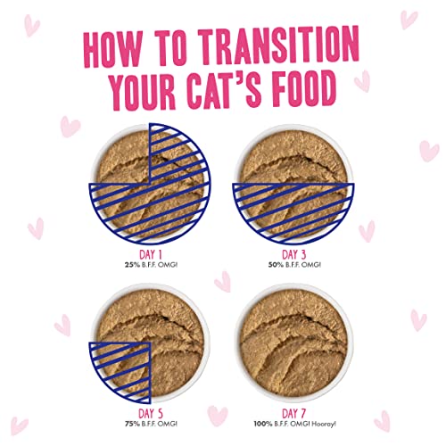 Weruva B.F.F. Play - Best Feline Friend Pate Lovers, Aw Yeah!, Pate Partay! Variety Pack, 3oz Pouch (Pack of 12)