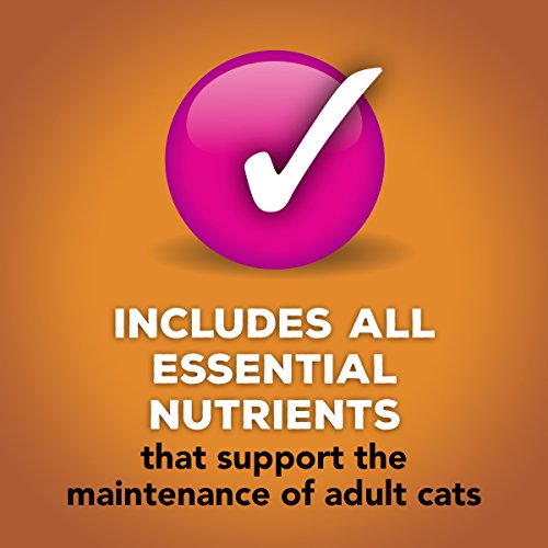 Purina Friskies Pate Wet Cat Food Variety Pack, Extra Gravy Pate Chicken, Turkey, Salmon & Tuna - (24) 5.5 oz. Cans