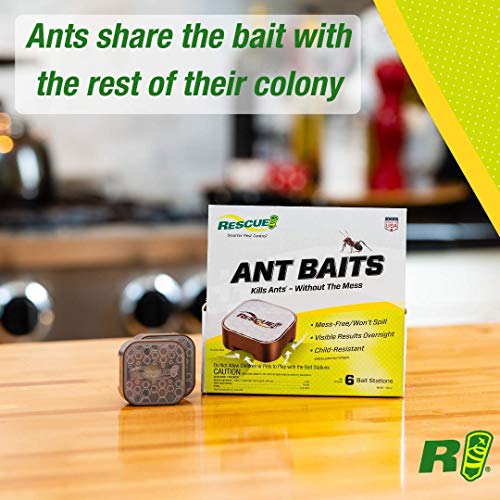 RESCUE! Ant Baits β Indoor Ant Killer, Ant Trap Alternative - 6 Bait Stations