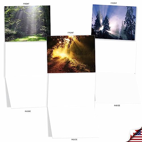The Best Card Company - 20 Landscape Nature Note Cards Blank (4 x 5.12 Inch) (10 Designs, 2 Each) - Shining Through AM1735OCB-B2x10