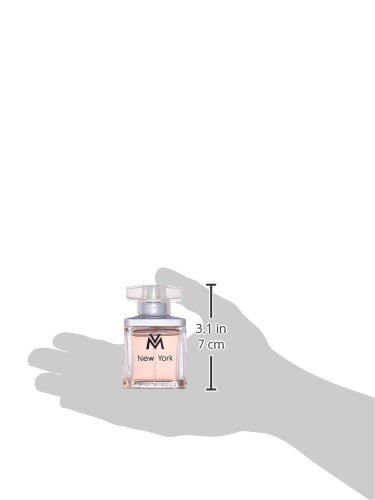 Victor Manuelle New York Pour Femme Eau de Parfum Spray for Women, 3.3 Ounce