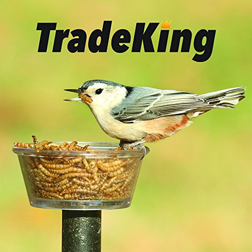 TradeKing 5 lb Dried Mealworms - High Protein Treat for Wild Birds, Chicken, Fish & Reptiles