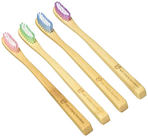 Natural Organic Eco Friendly Bamboo Toothbrush KIDS SOFT Nylon Bristles, BPA Free, Promote Responsible Dental Care (4- Pack)