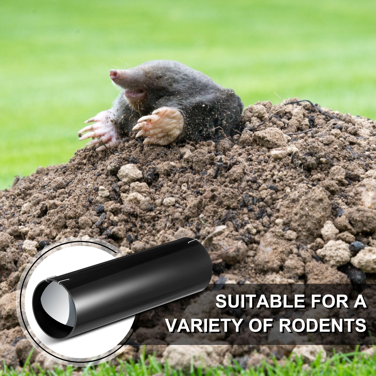 Qualirey 6 Pcs Mole Traps for Lawns Pocket Gopher Trap Catch and Release Live Mole Trap Tunnel Rodent and Gopher Trap Humane Mole Traps for Lawns, Easy to Use, Reusable for Eliminating Pests (Black)