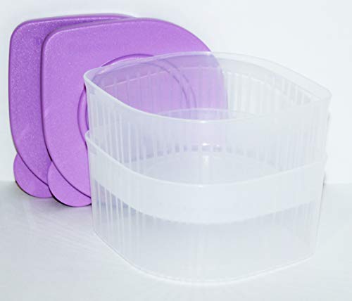 Tupperware Fresh N Cool 2 Cup Set of 2 in Sheer and Daisy Purple