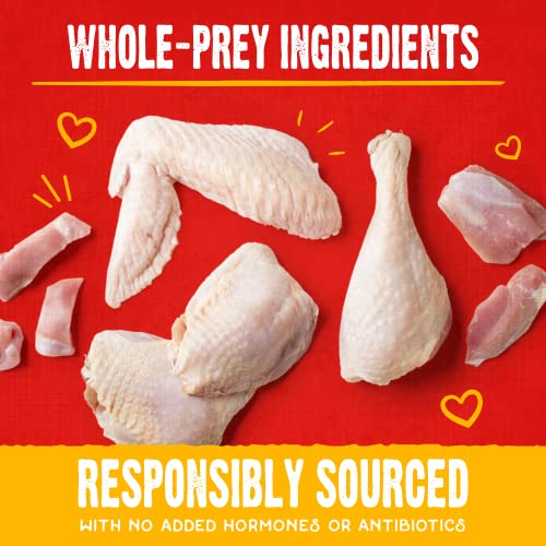 Stella & Chewy’s Freeze-Dried Raw Coated Dog Biscuits – Cage-Free Chicken Recipe – Protein Rich, Grain Free Dog & Puppy Treat – Great Snack for Training & Rewarding – 9 oz Bag