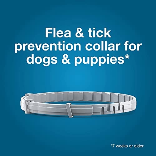 Seresto Flea Tick Collar 1 Large Dog + 1 Small Dog